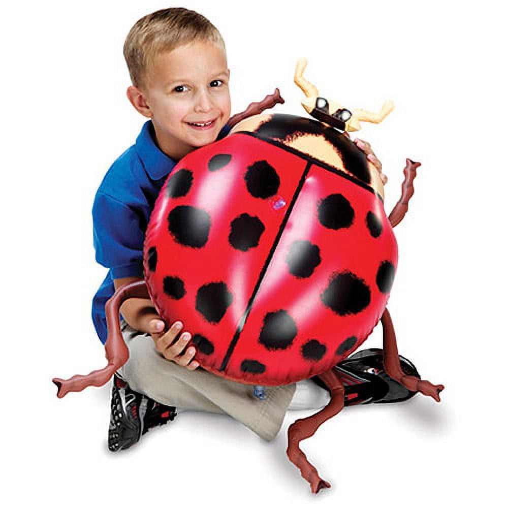 Learning Resources Giant Inflatable Insects, Set of 5 - Walmart.com