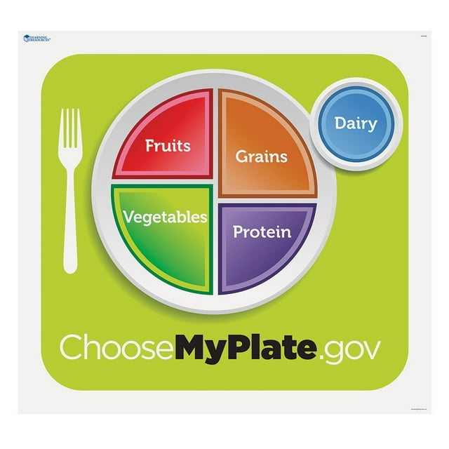 Learning Resources Healthy Helpings-A My Plate Activity Mat - Walmart.com