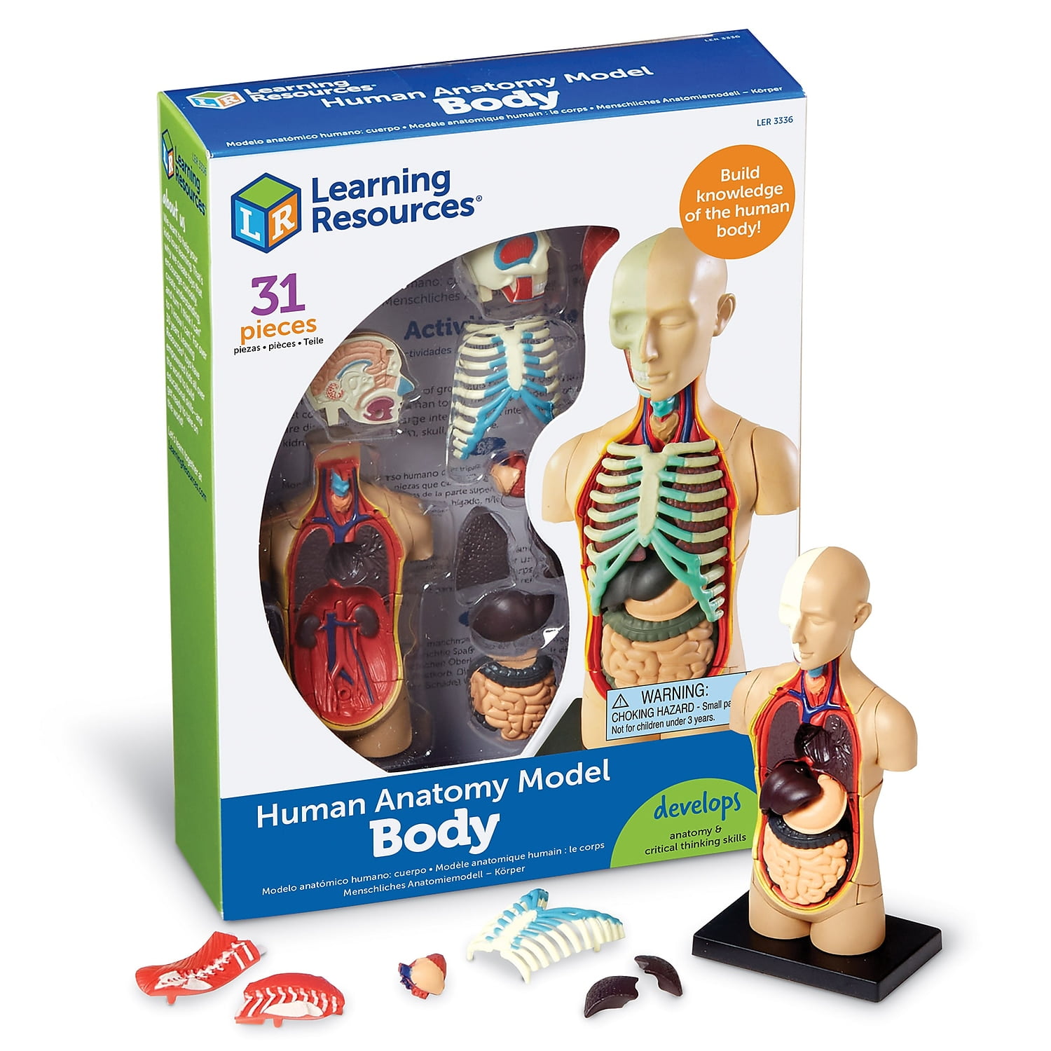 Learning Resources® Human Body Anatomy Model, 31 Pieces - Walmart.com