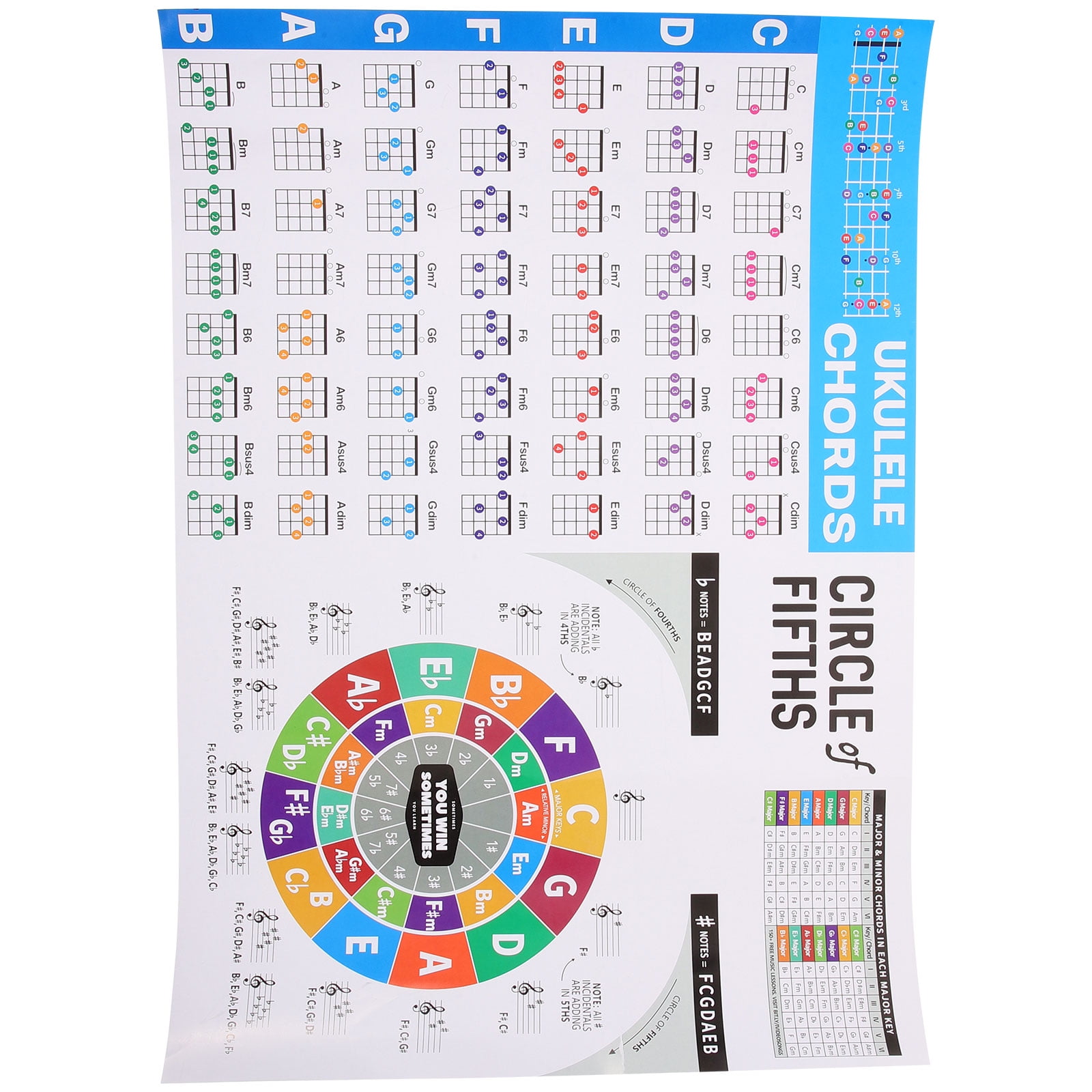 Learning Ukulele Chord Chart For Music Theory Circle Of Fifths Poster