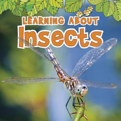 Pre-Owned Insects - Walmart.com