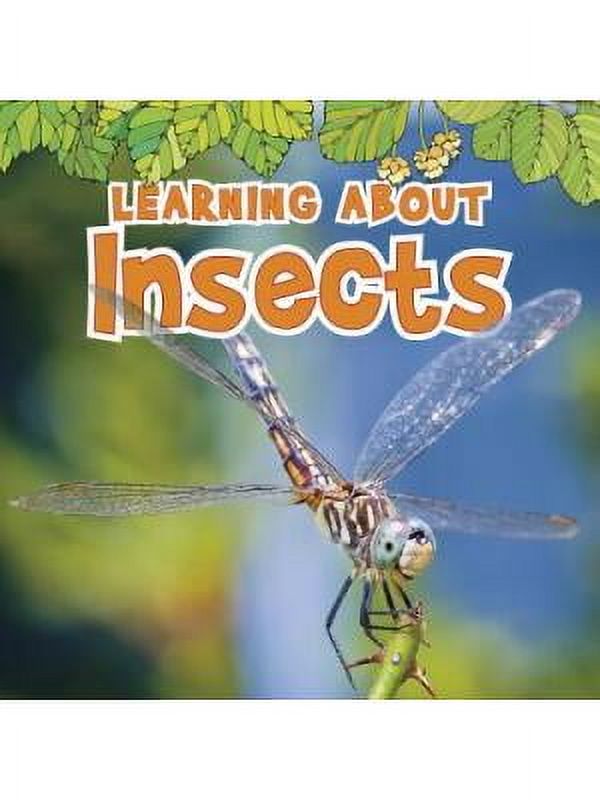 Learning about Insects - Walmart.com