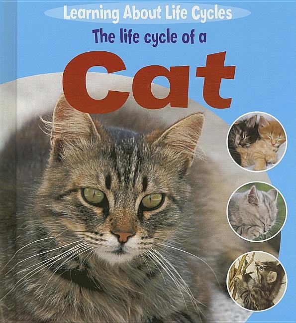 Learning about Life Cycles: The Life Cycle of a Cat (Hardcover ...