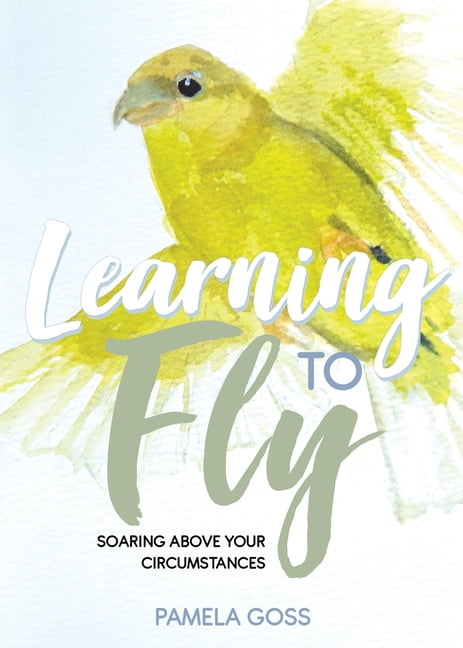 Learning to Fly: Soaring above Your Circumstances, (Paperback ...