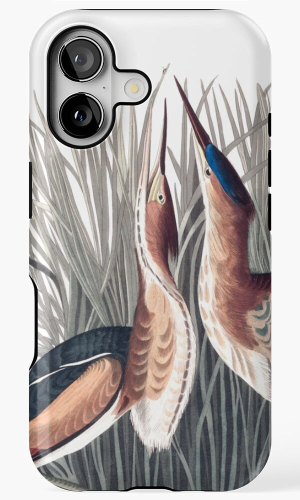 Least Bittern John James Audubon Bird Art Phone Case for iPhone 11 12 ...