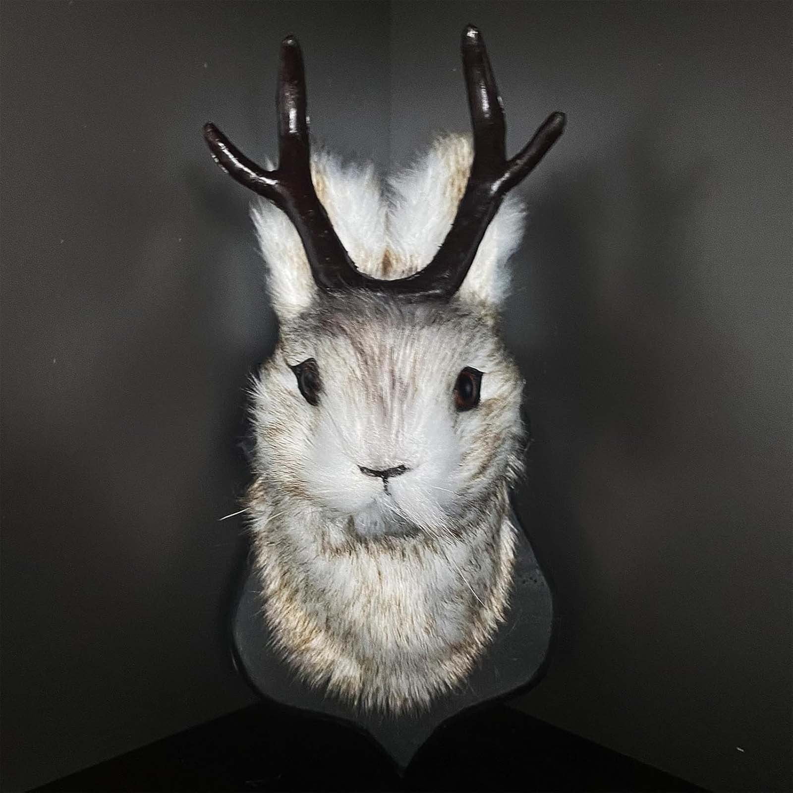 Leatfisat Jackalope Wall Mount Taxidermy Animals Bunny Deer Head Wall ...