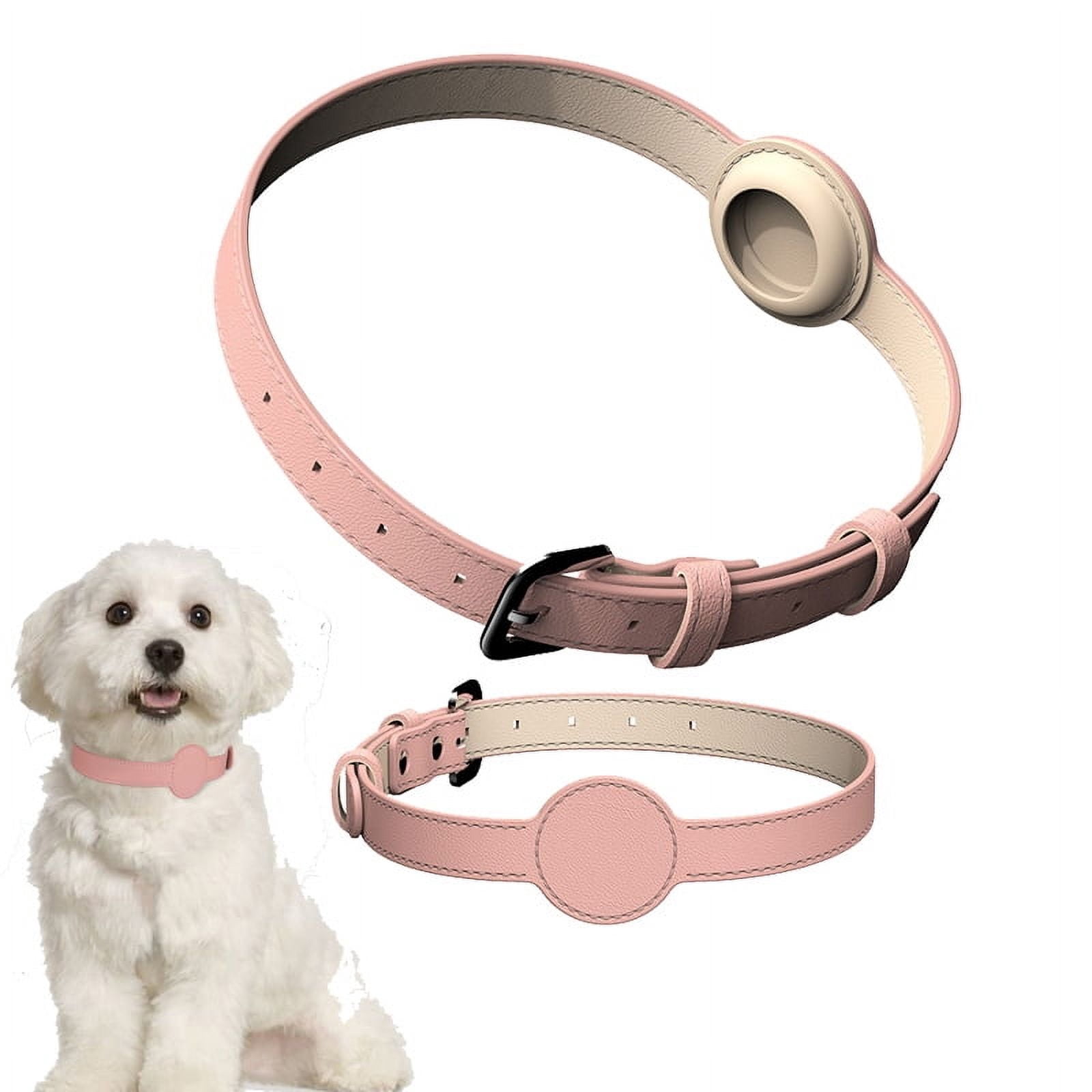 Leather AirTag Cat Collar - Non Breakaway Kitten Collar with Apple Air ...