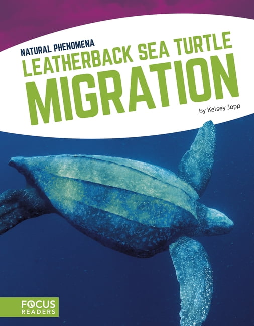 Leatherback Sea Turtle Migration (Hardcover) - Walmart.com