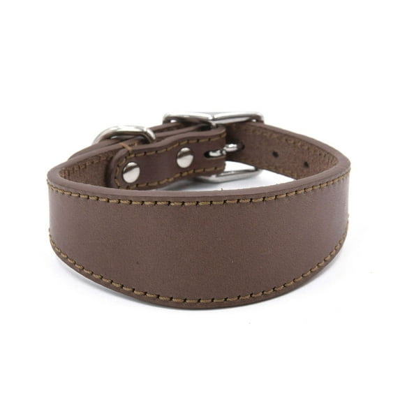 Leathers Dogs Collar Soft Padded Collar for Whippets Salukis ...