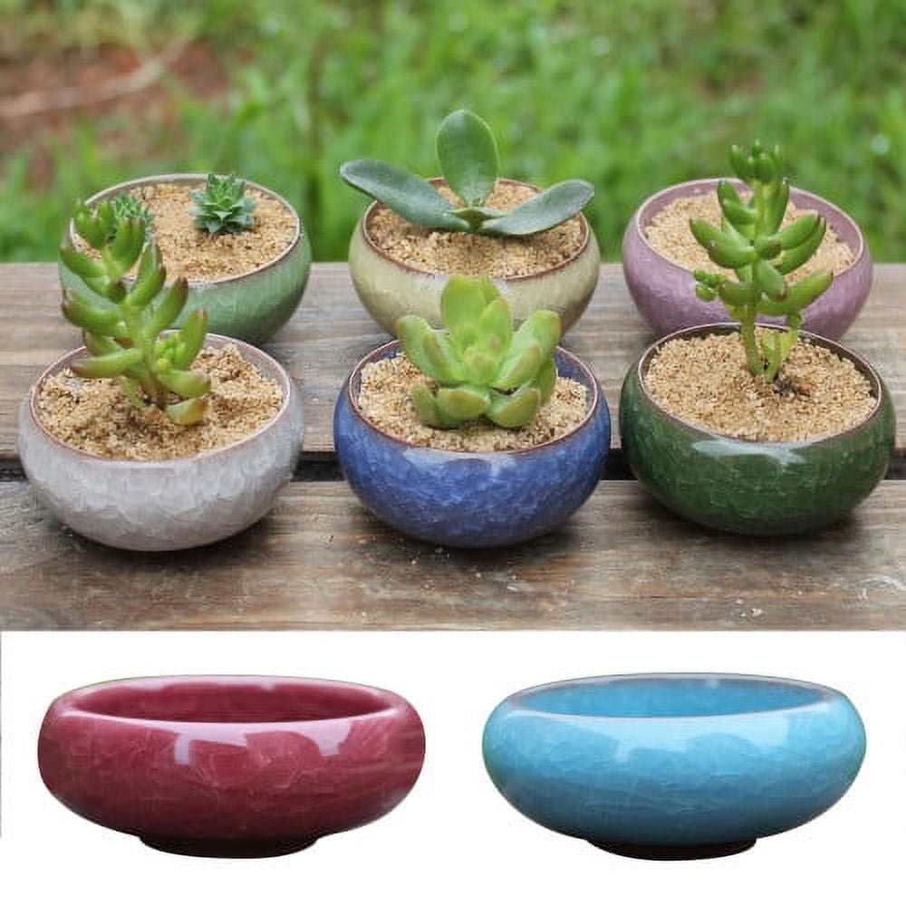 Leaveforme 2.5 Inch Ceramic Succulent Planter Pot with Drainage ...