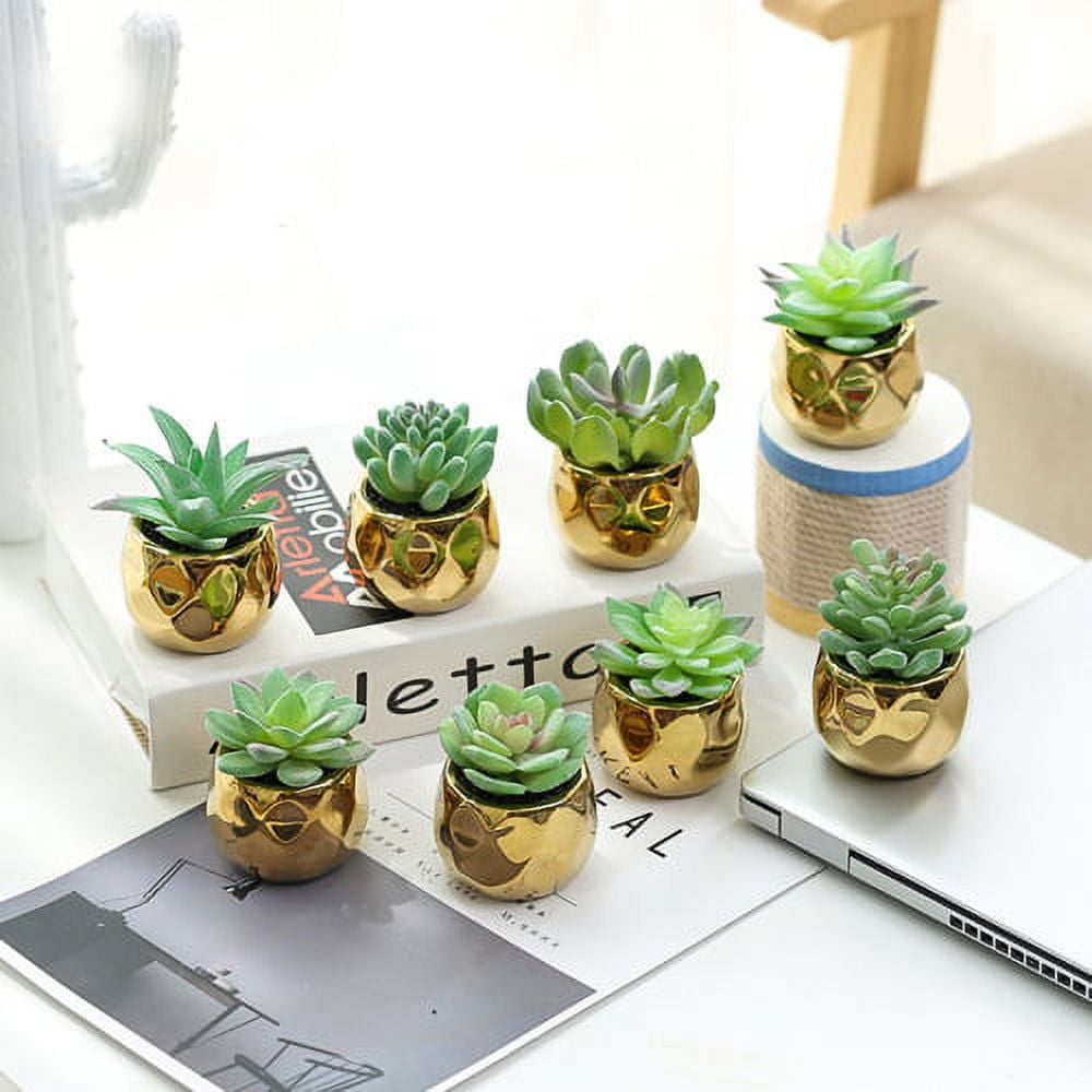 Leaveforme Leaveforme Golden Small Ceramic Succulent Pots , Mini Pots ...