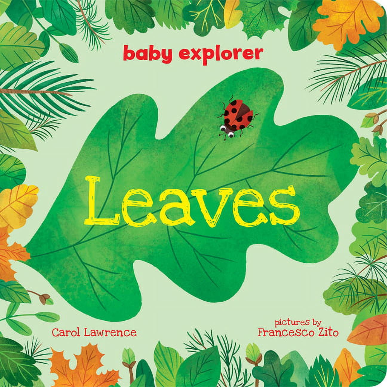 Leaves (Board Book) - Walmart.com
