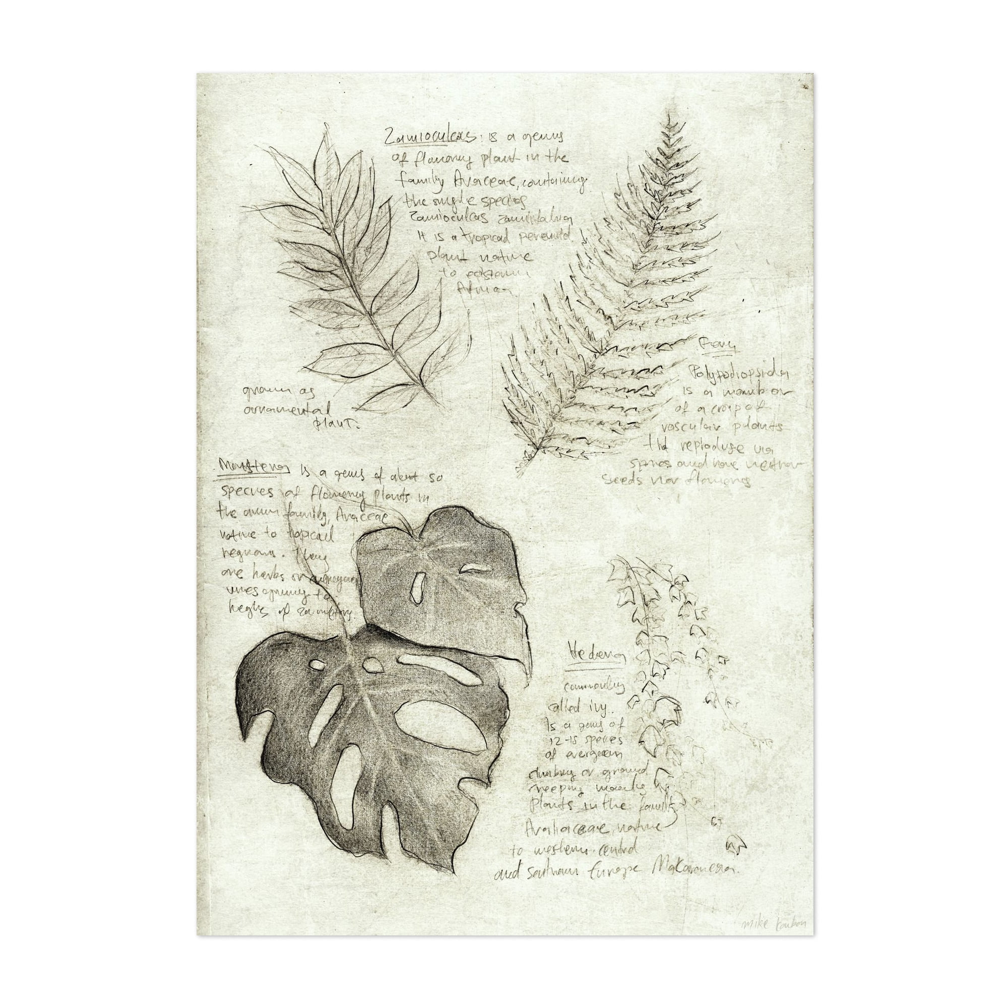 Leaves - Drawing Botanical Floral Vintage Nature Unframed Wall Art ...
