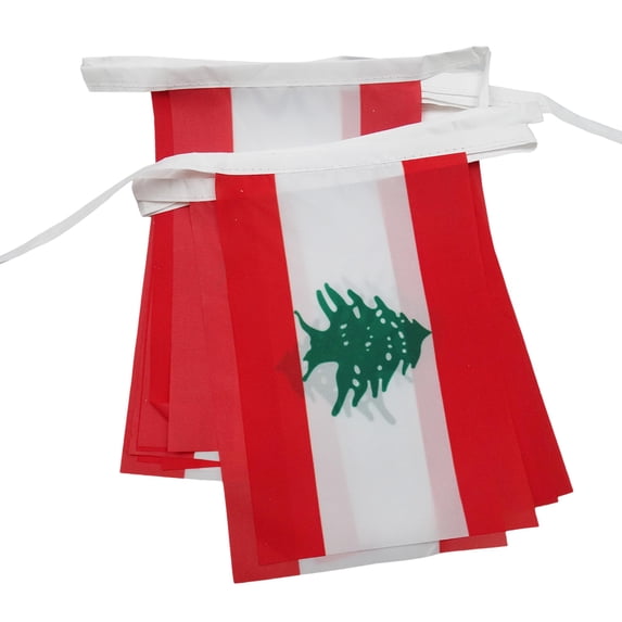 Lebanon Bunting 20 flags 9'' x 6'' - Walmart.com