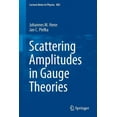 Lecture Notes in Physics: Scattering Amplitudes in Gauge Theories ...