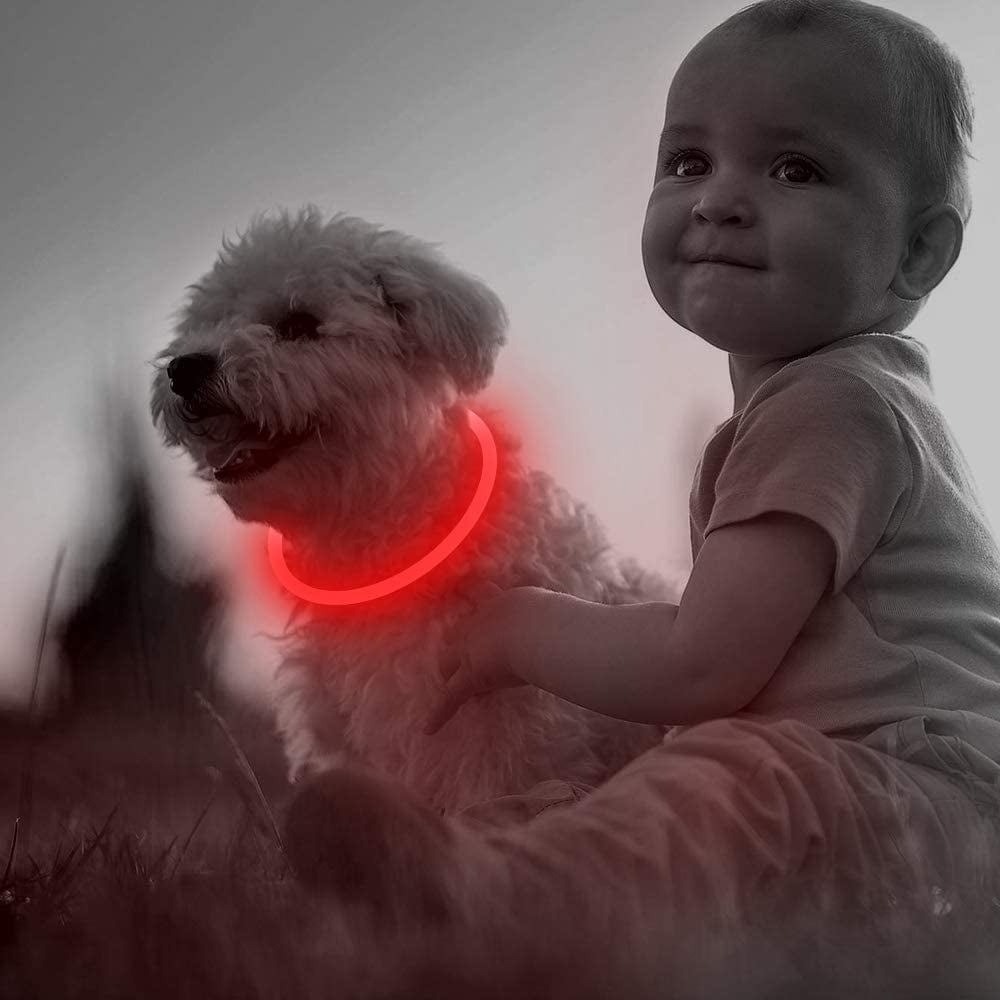 Led Dog Collar, USB Rechargeable Flash Dog Necklace Light, Pet Safety ...