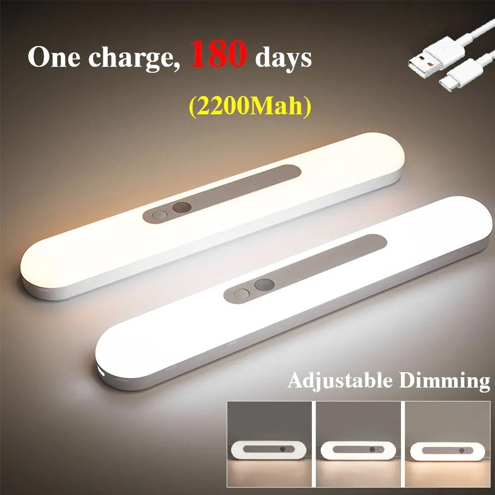 Led night light Rechargeable Human Body Induction Light USB Stepless ...