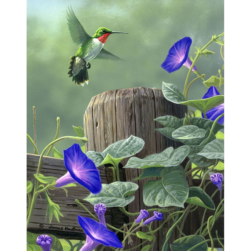 "Ledgebay Paint by Numbers for Adults: 16"" x 20"" Hummingbird Canvas ...