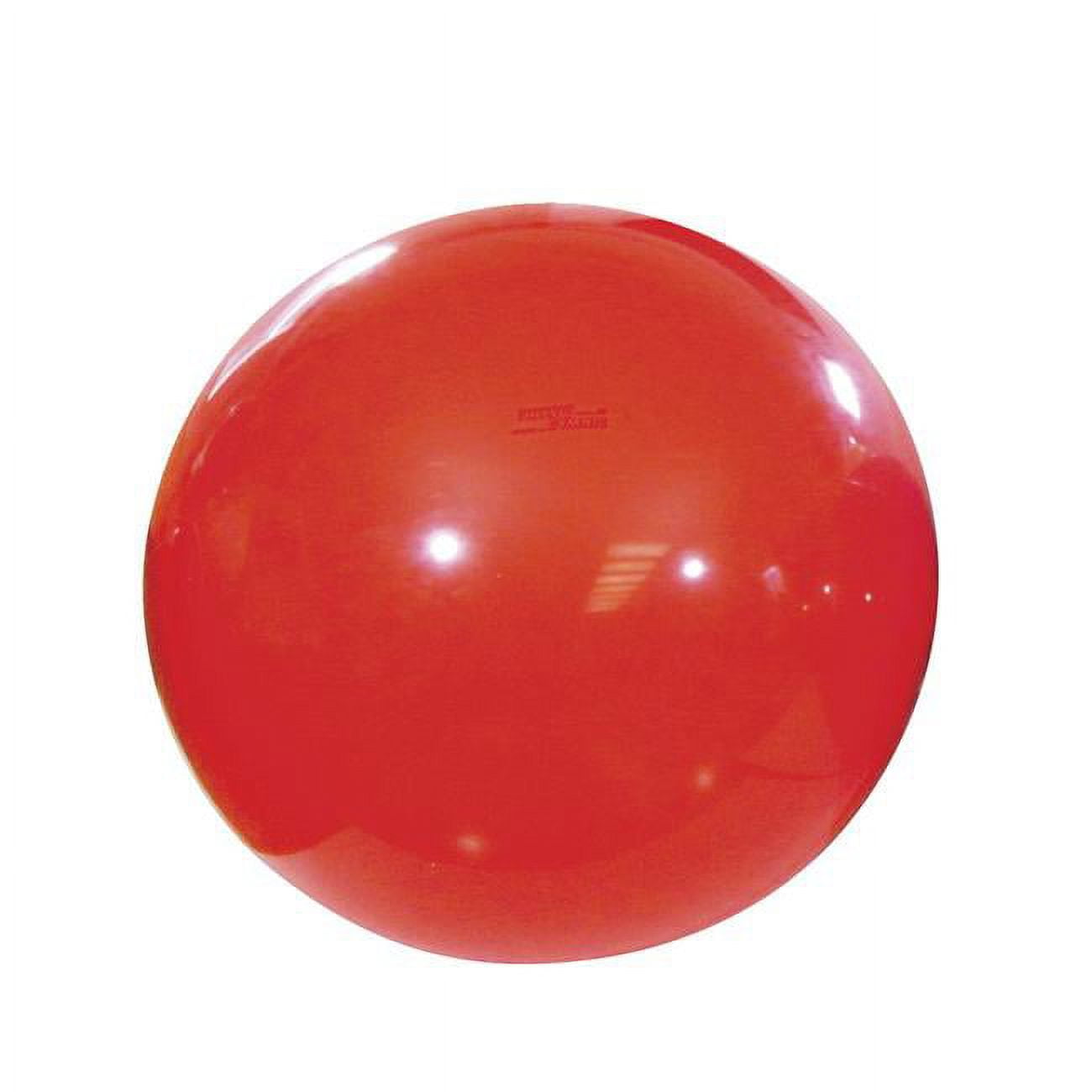 Ledraplastic 009173 Gymnic Large Body Ball, 17.5 in. - Walmart.com