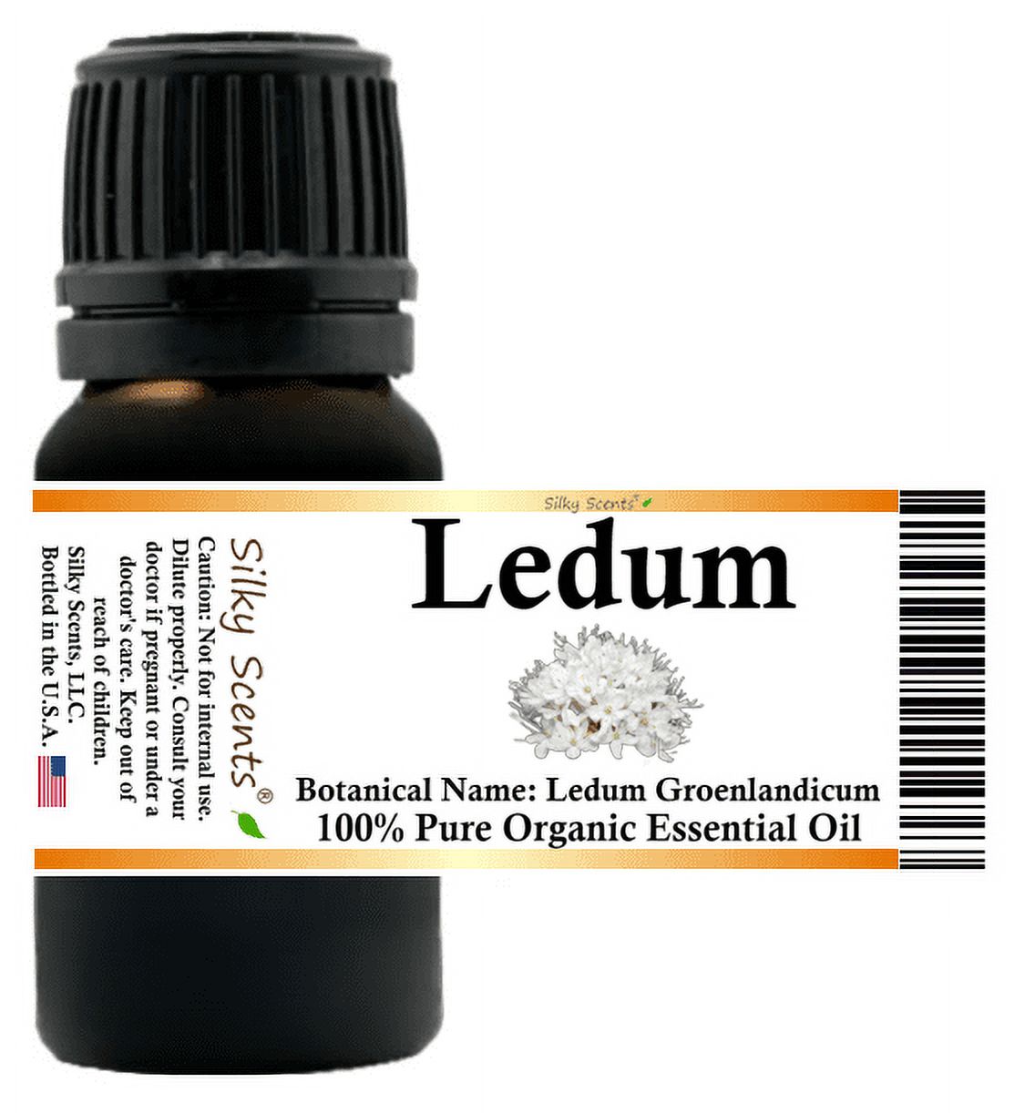 Ledum (Labrador Tea) Organic Essential Oil - Walmart.com