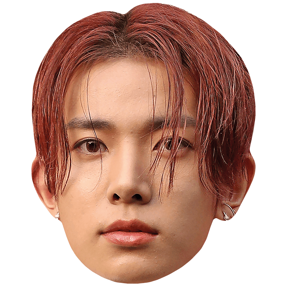 Lee Hee-Seung (Red Hair) Celebrity Mask, Flat Card Face, Fancy Dress ...