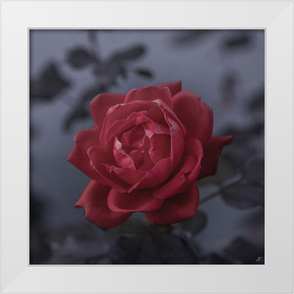 Lee, Judson 26x26 White Modern Wood Framed Museum Art Print Titled ...