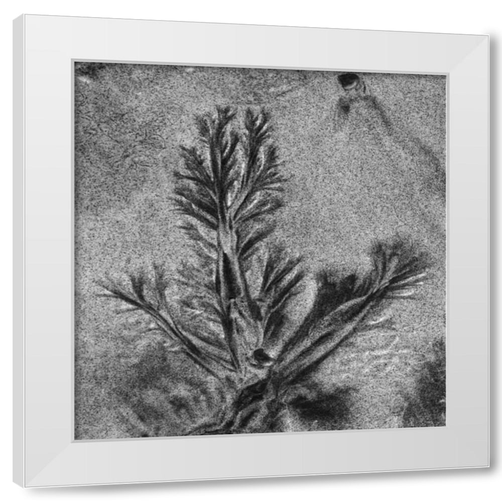 Lee Peterson 12x12 White Modern Wood Framed Wall Art Titled - Texture ...