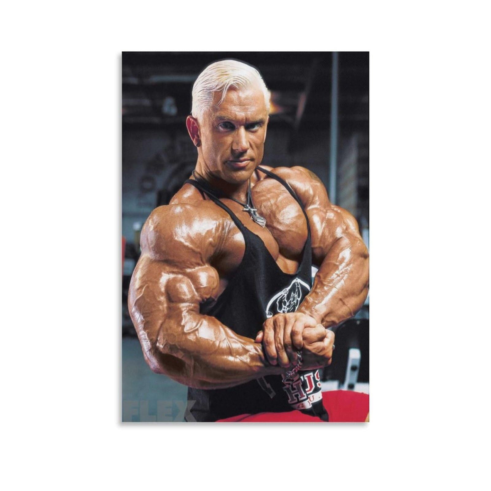 Lee Priest Bodybuilder Fitness Art Poster 5 Canvas Wall Art Print For ...
