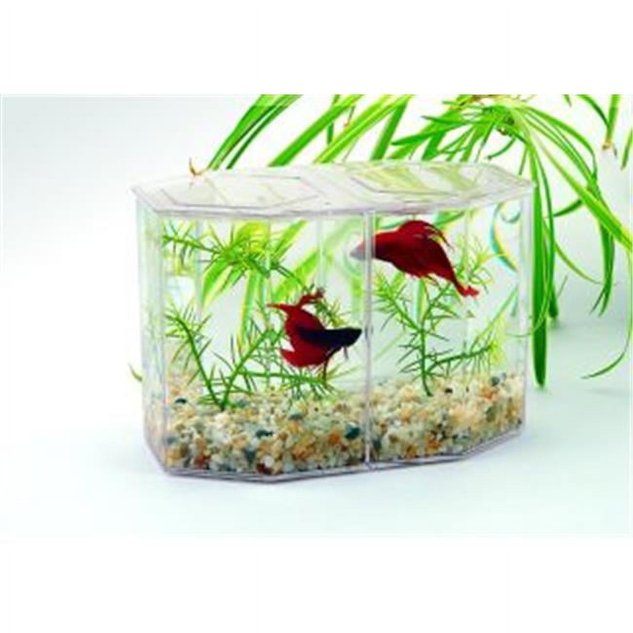 Lee S Aquarium & Pet Products Betta Keeper Large - 19535 - Walmart.com