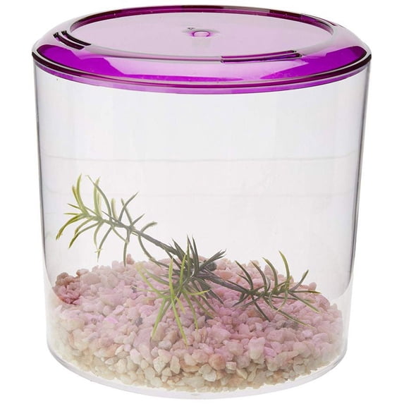 Lee's Betta Keeper Round Aquarium Kit [Aquarium, Glass & Acrylic ...