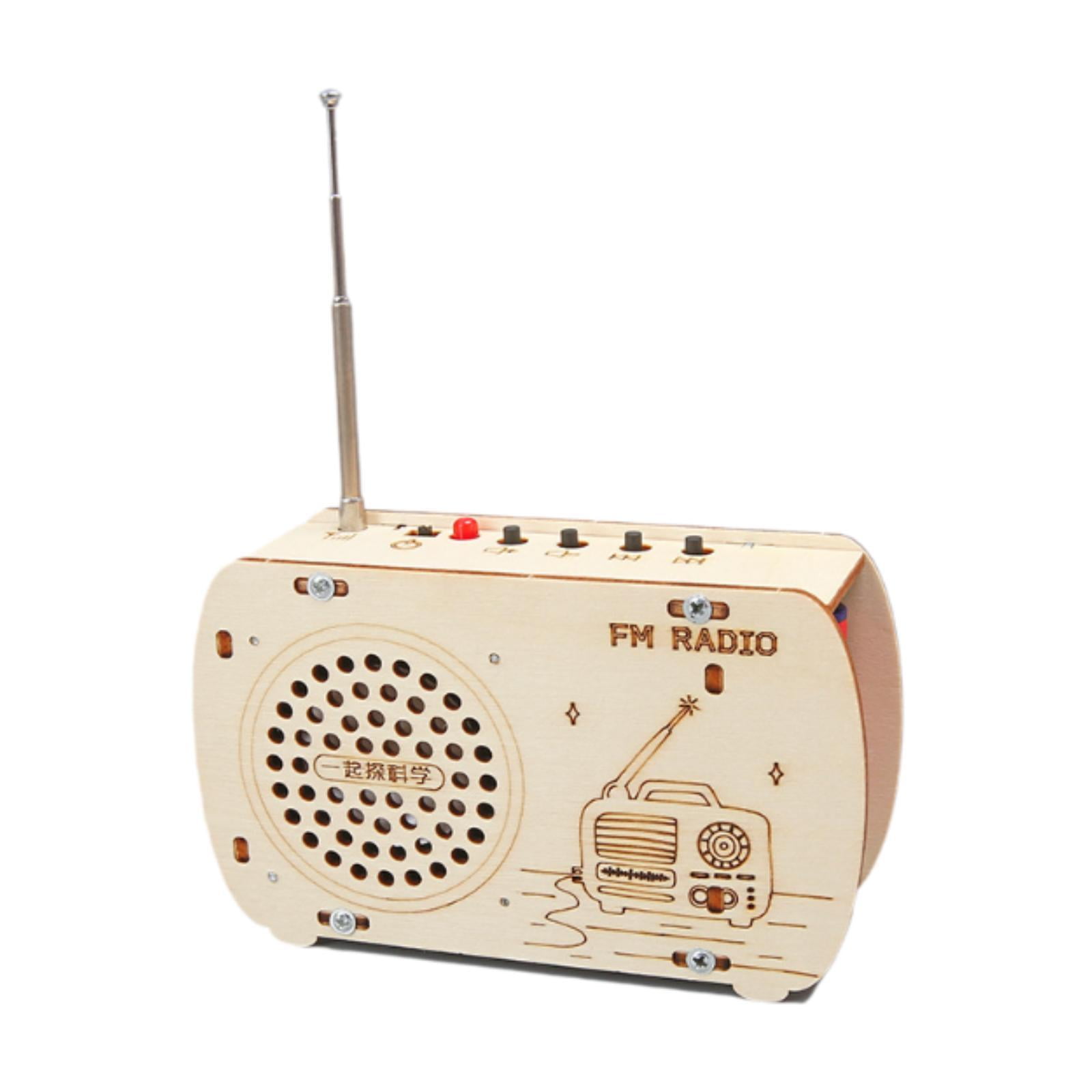 LeeQinersw DIY Radio Model Science Set Children Radio Model Handmade 3D ...