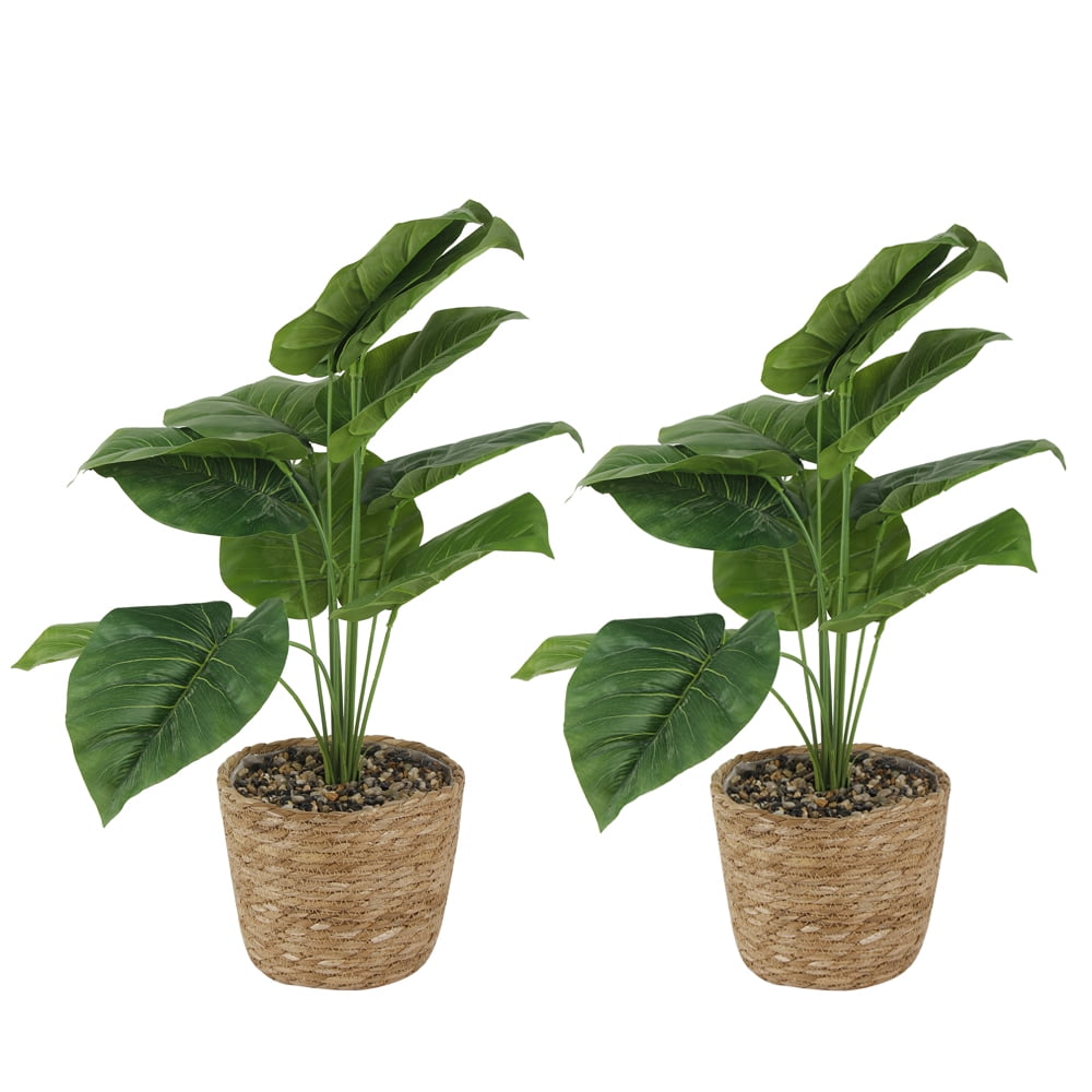 Leejay 21 inch Artificial Elephant Ear Plant in Basket for Home Decor Indoor ,Green,Set of 2 ...