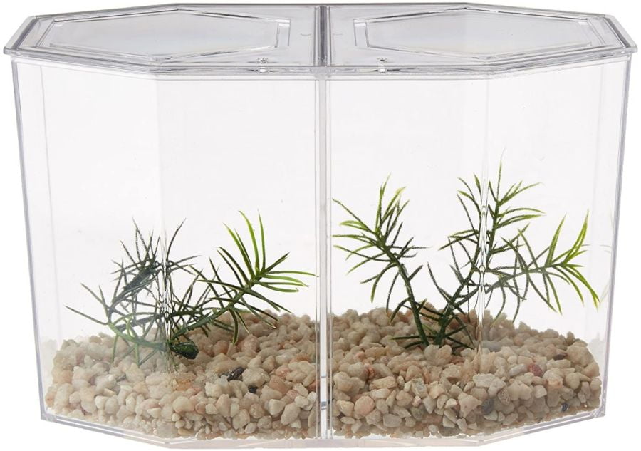 Lees Betta Hex Dual [Aquarium, Bowls Plastic] Betta Hex Dual - Walmart.com