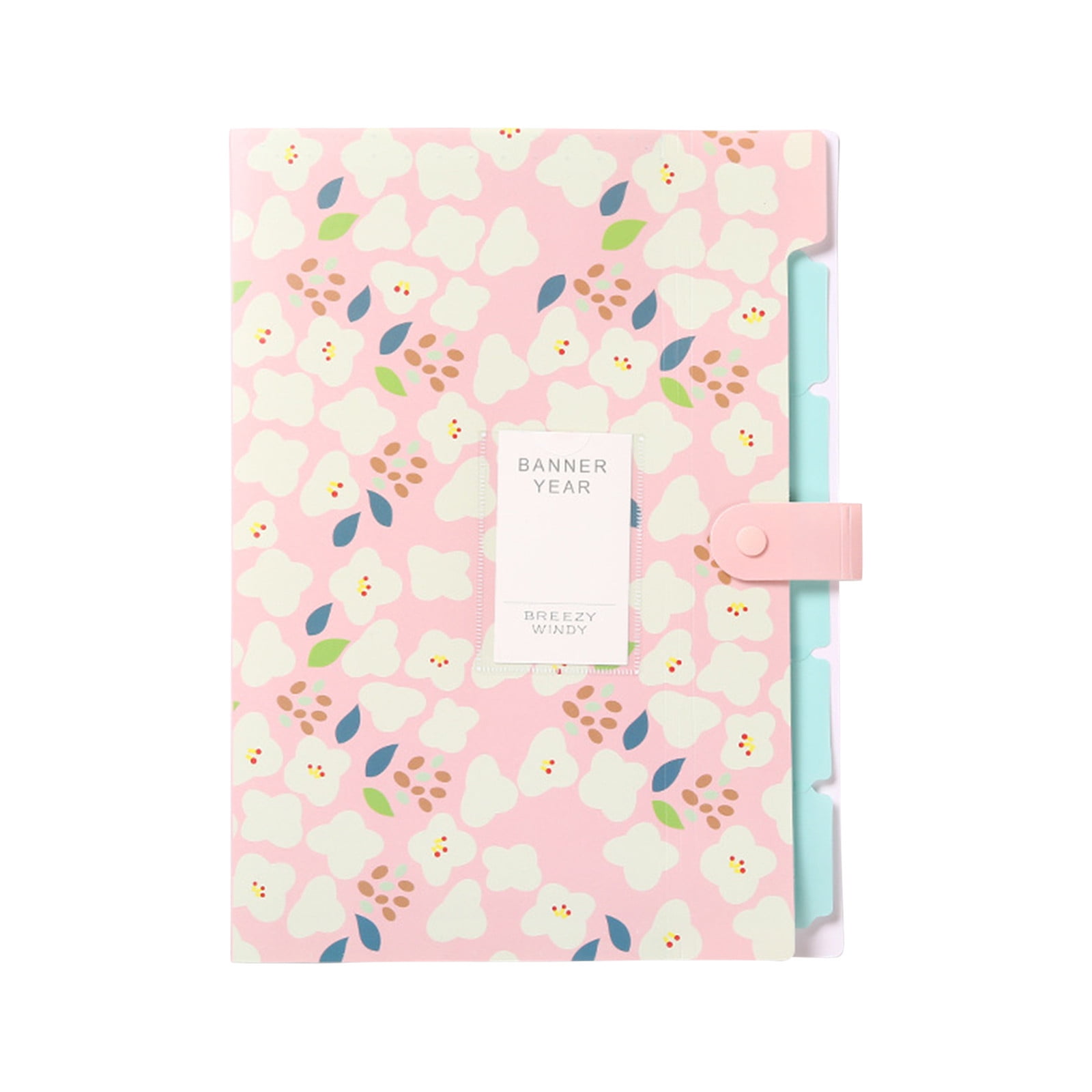 Leesechin 6 Pockets Expanding File Folders with Labels A4 Letter Size ...