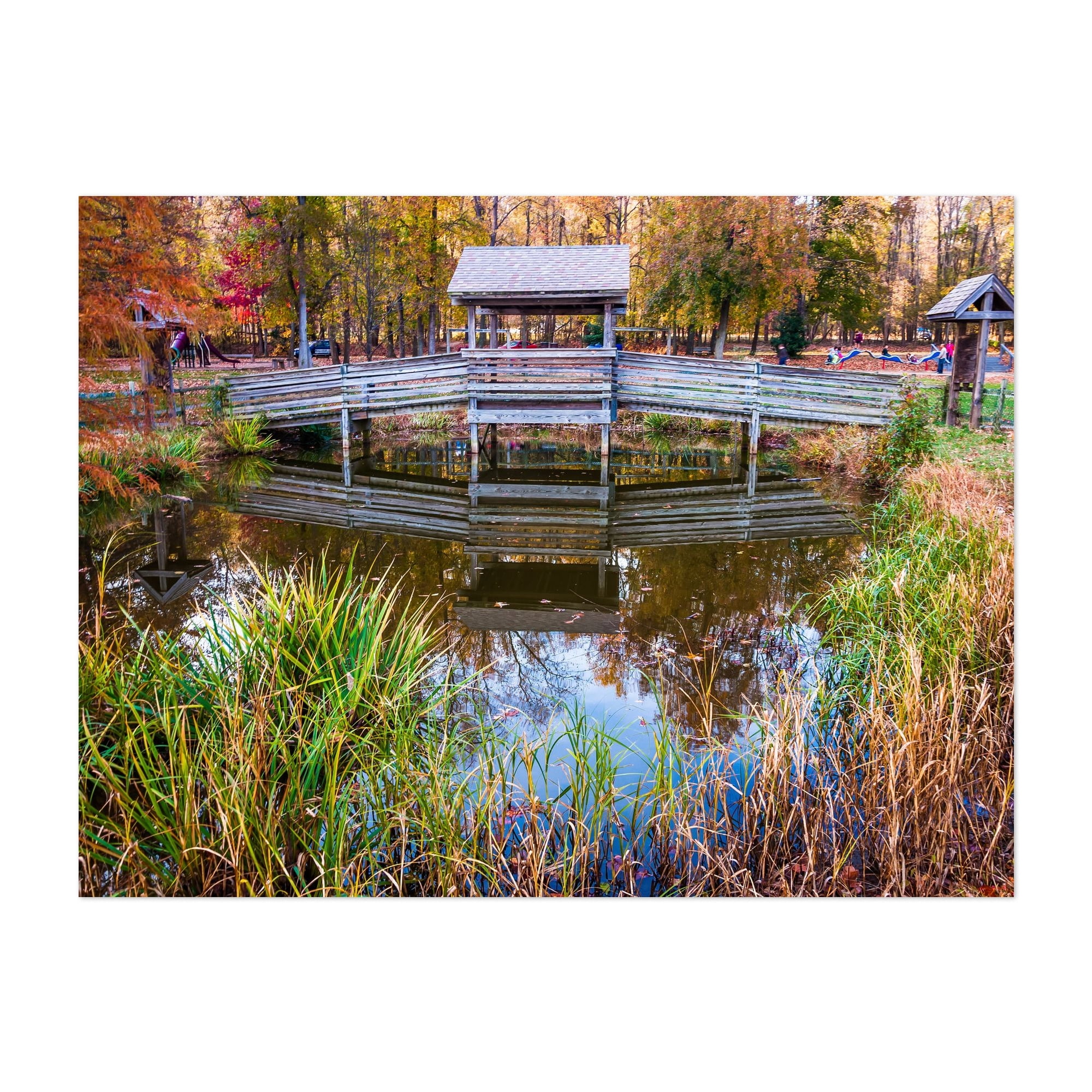 Leesylvania Pond - Virginia Photography Unframed Wall Art Print 8 x 10 ...