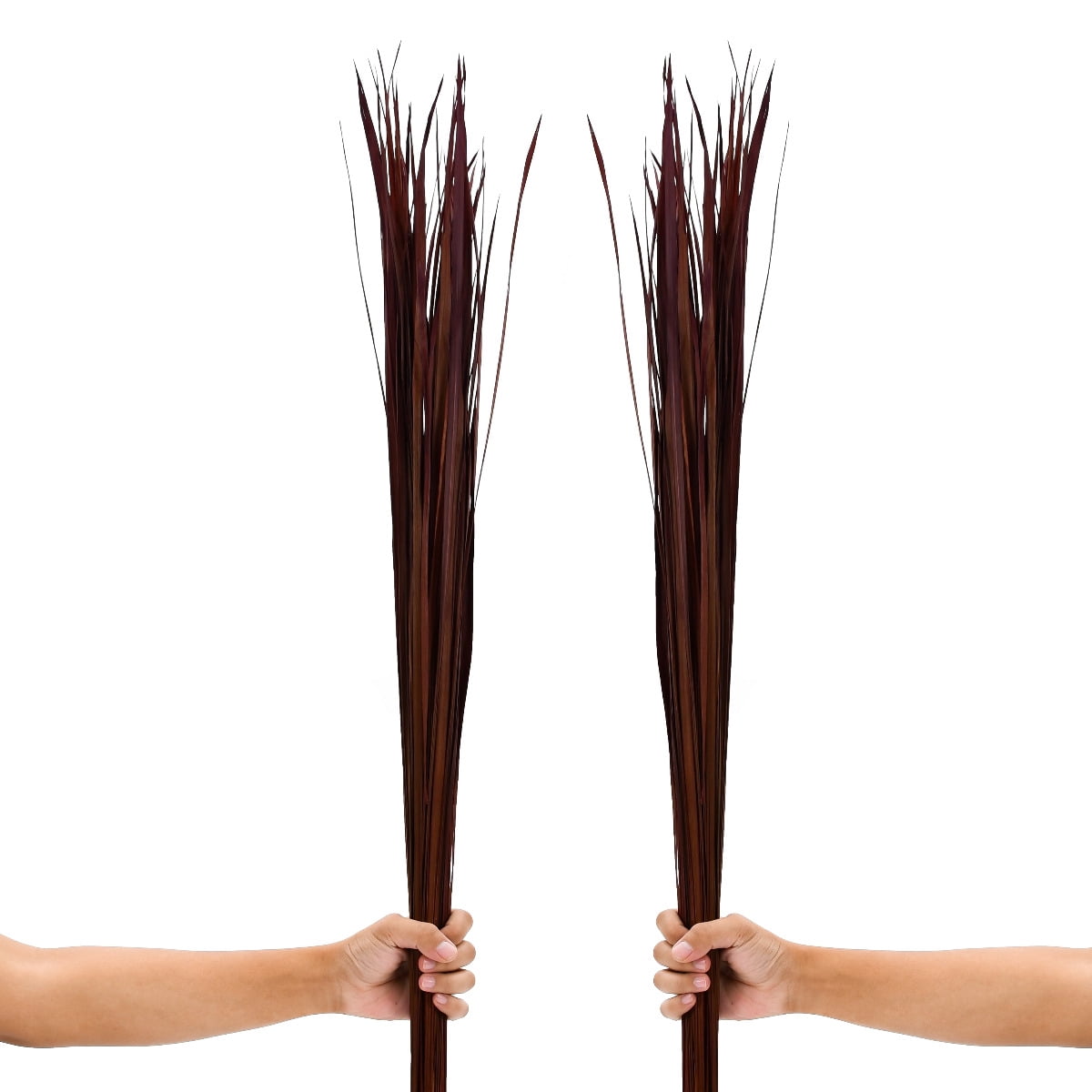 Leewadee Tall Vase Filler, Natural Grass Stems – 2 Bunches Of Colored ...