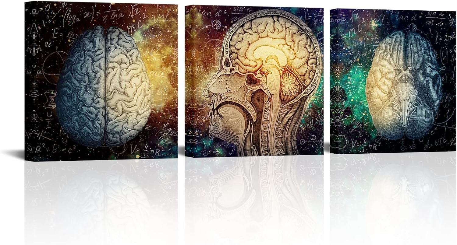 Left Brain Right Brain Wall Art Motivational Inspirational Brain Canvas ...