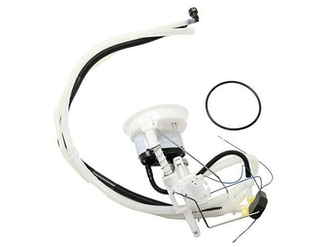 Left Driver Side Fuel Tank Sending Unit and Fuel Filter Assembly ...