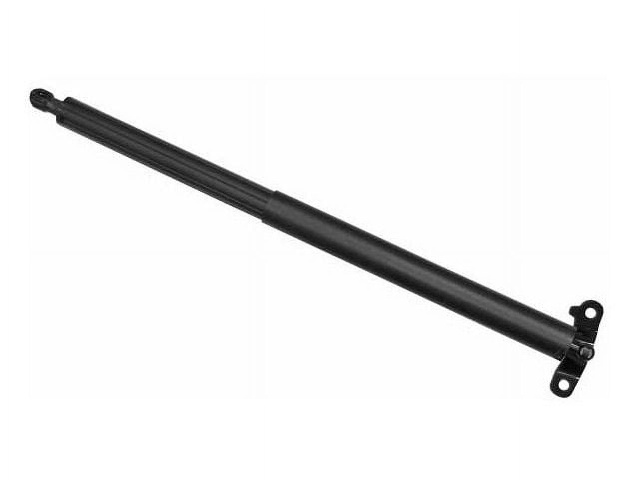 Left Liftgate Lift Support - Compatible with 2007 - 2011 Mercedes-Benz ...