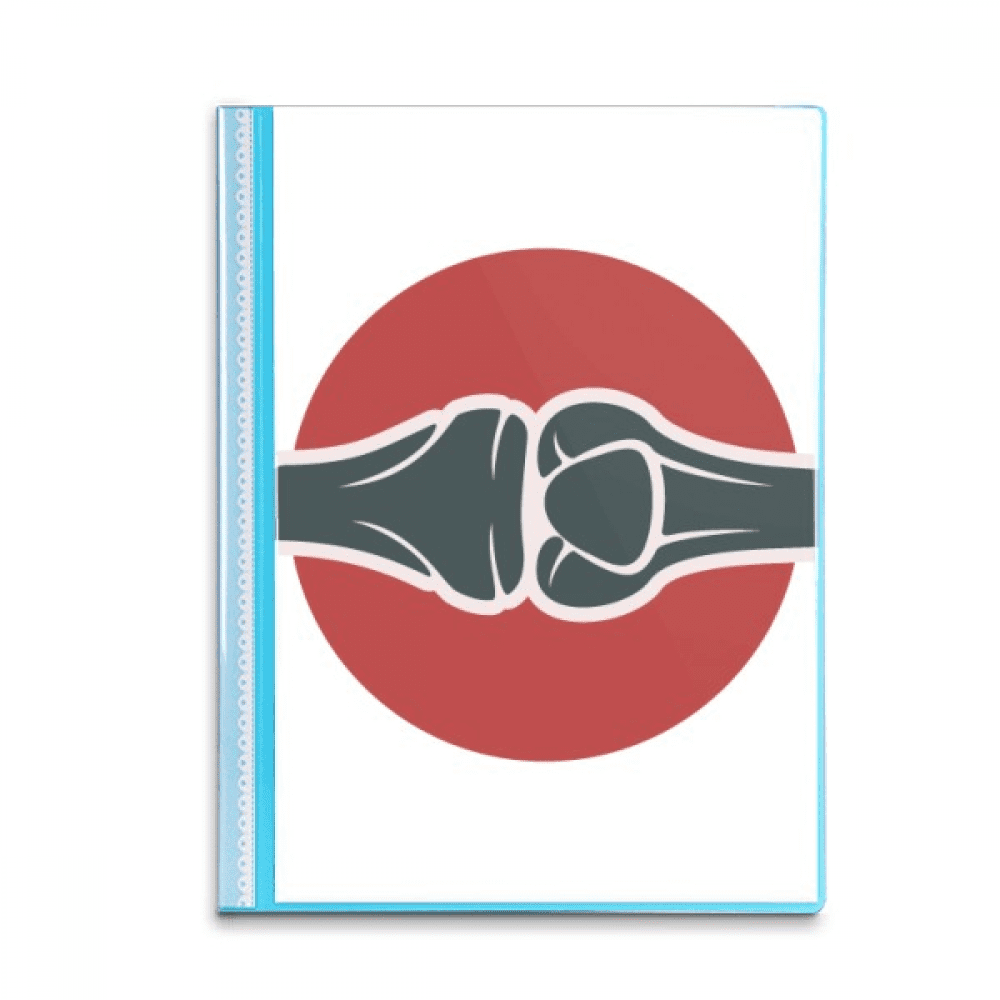 Leg Joints Human Body Illustration Book Sheet Protectors Portfolio ...