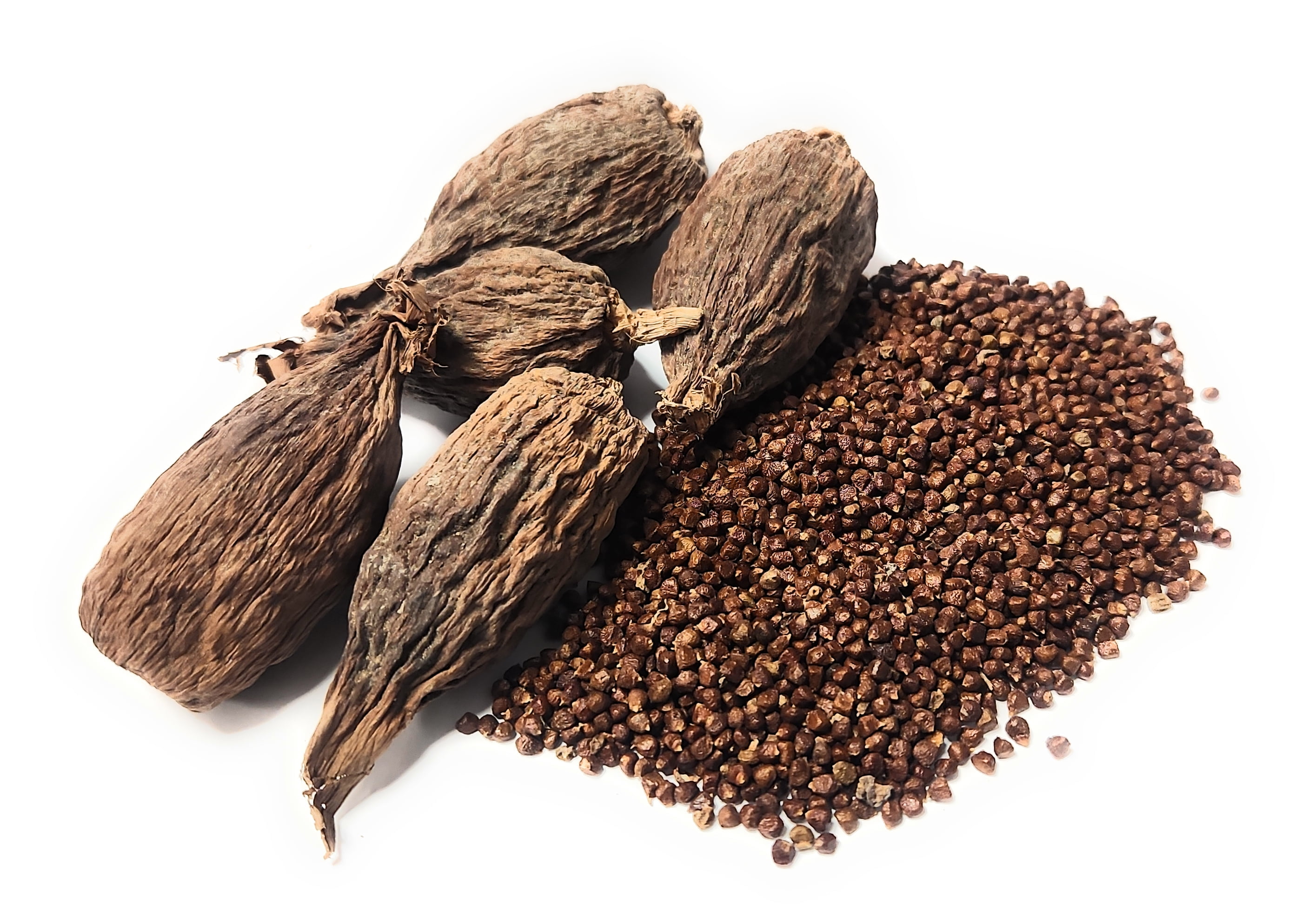 LegacyAfricana Alligator Pepper Seeds - Walmart.com