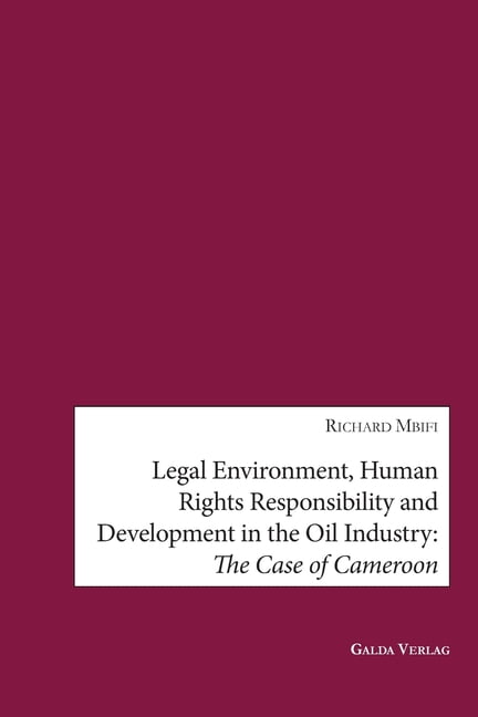 Legal Environment, Human Rights Responsibility and Development in the ...