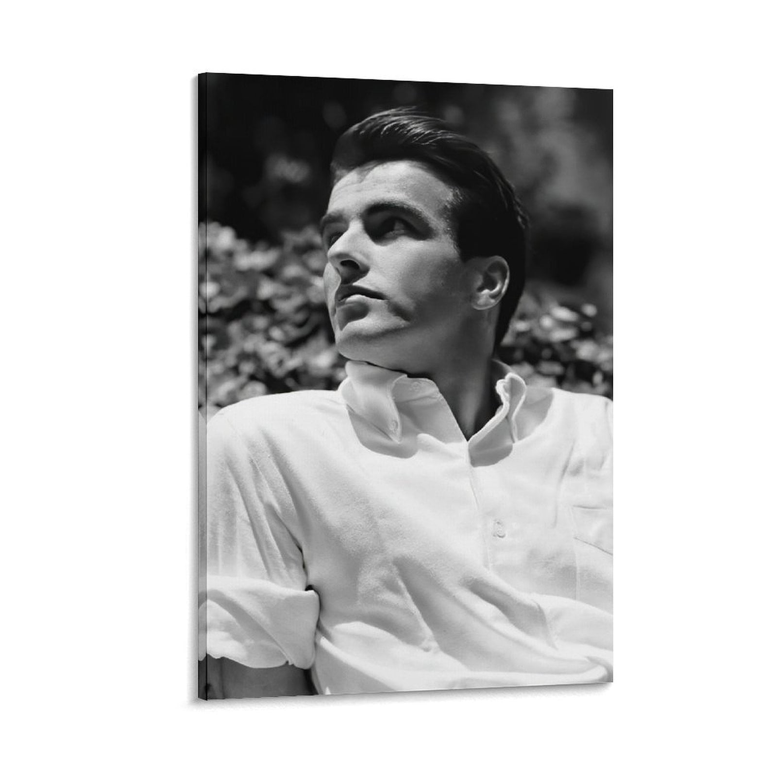 Legendary Old Actors Montgomery Clift Retro Poster Picture Print Canvas ...