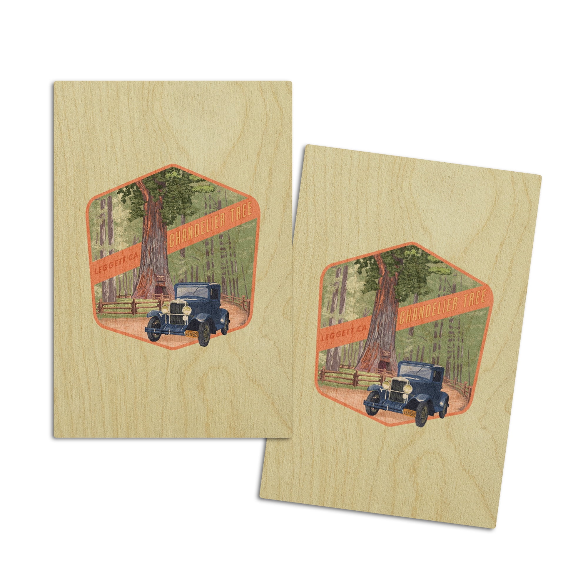 Leggett, California, Chandelier Tree, Contour (4x6 Birch Wood Postcards ...