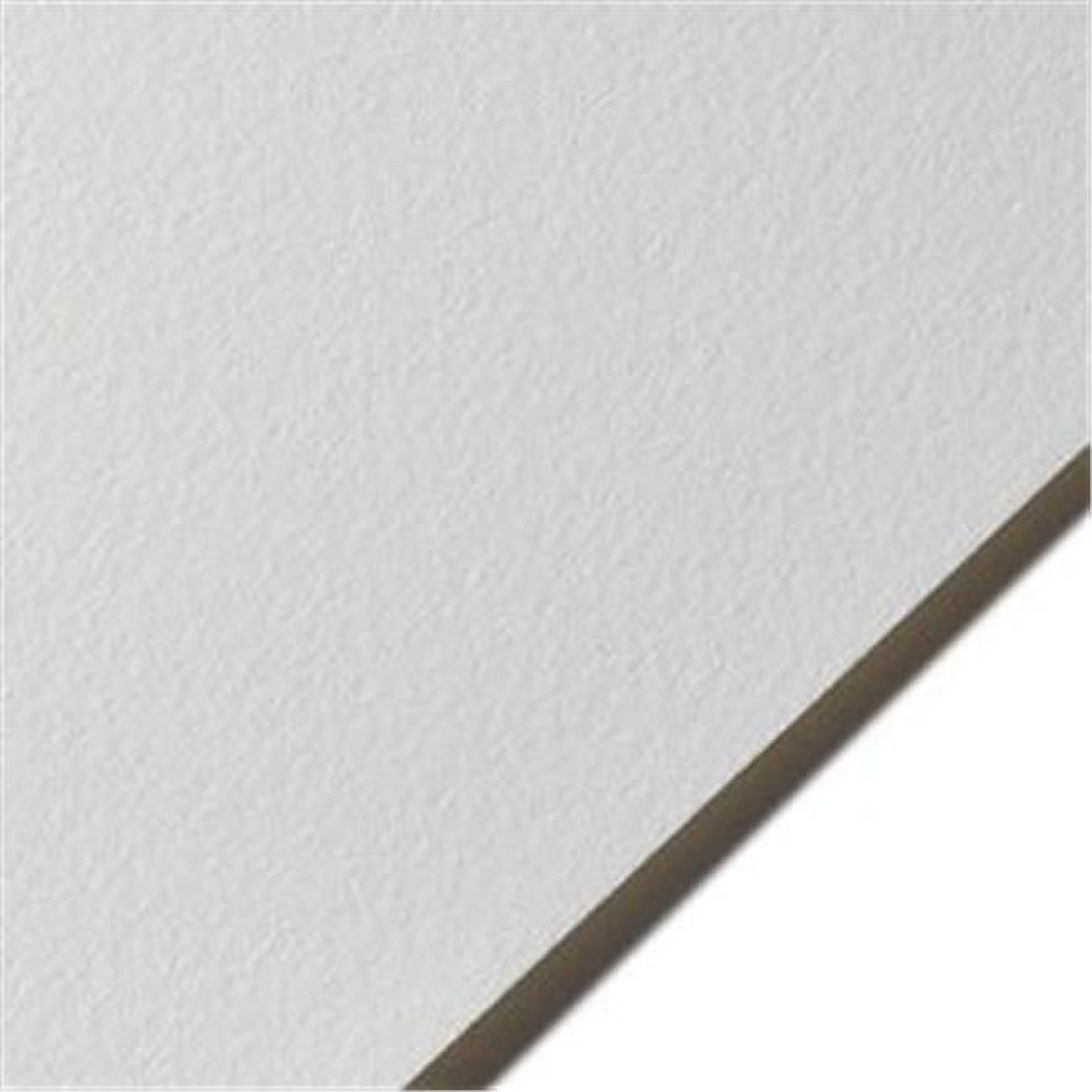 Legion Paper Somerset Printmaking Paper Sheets, 22" x 30", Satin White ...