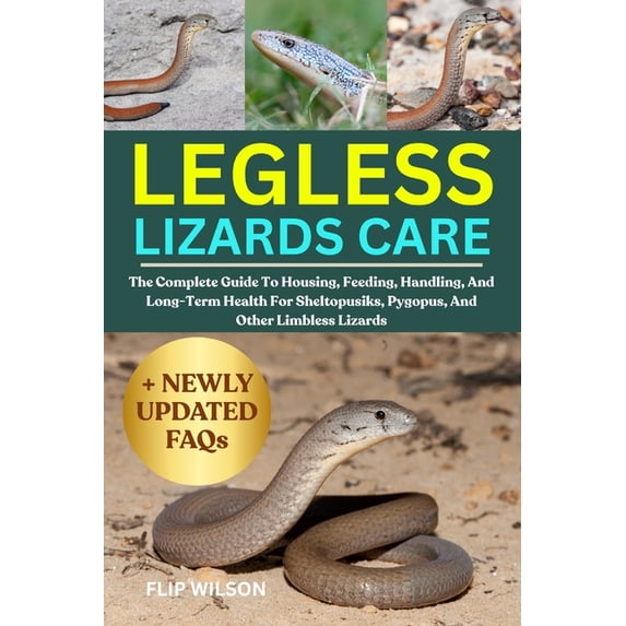 Legless Lizards Care: The Complete Guide To Housing, Feeding, Handling ...