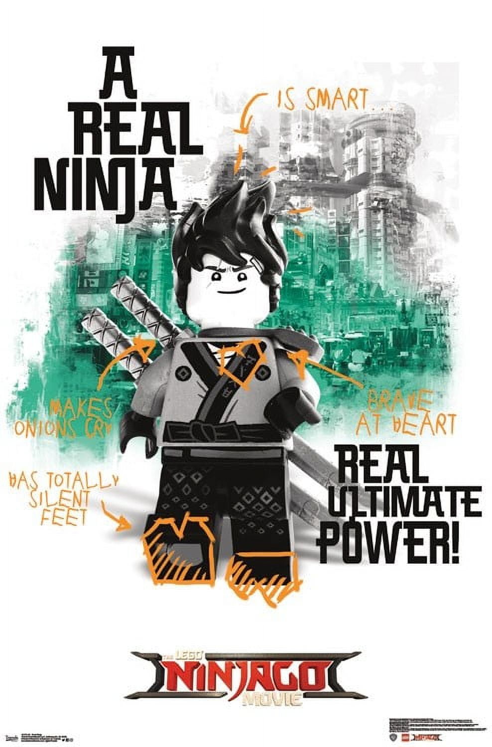 Lego Ninjago - Real Ninja Poster Print (22 x 34) - Walmart.com
