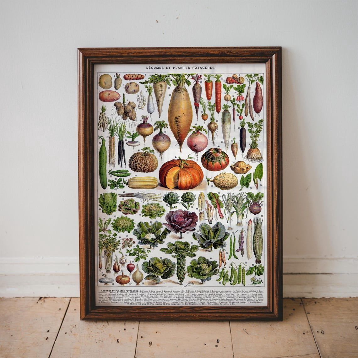 Legunes Et Plantes Vintage Gardening Poster, Botanical Wall Decor ...
