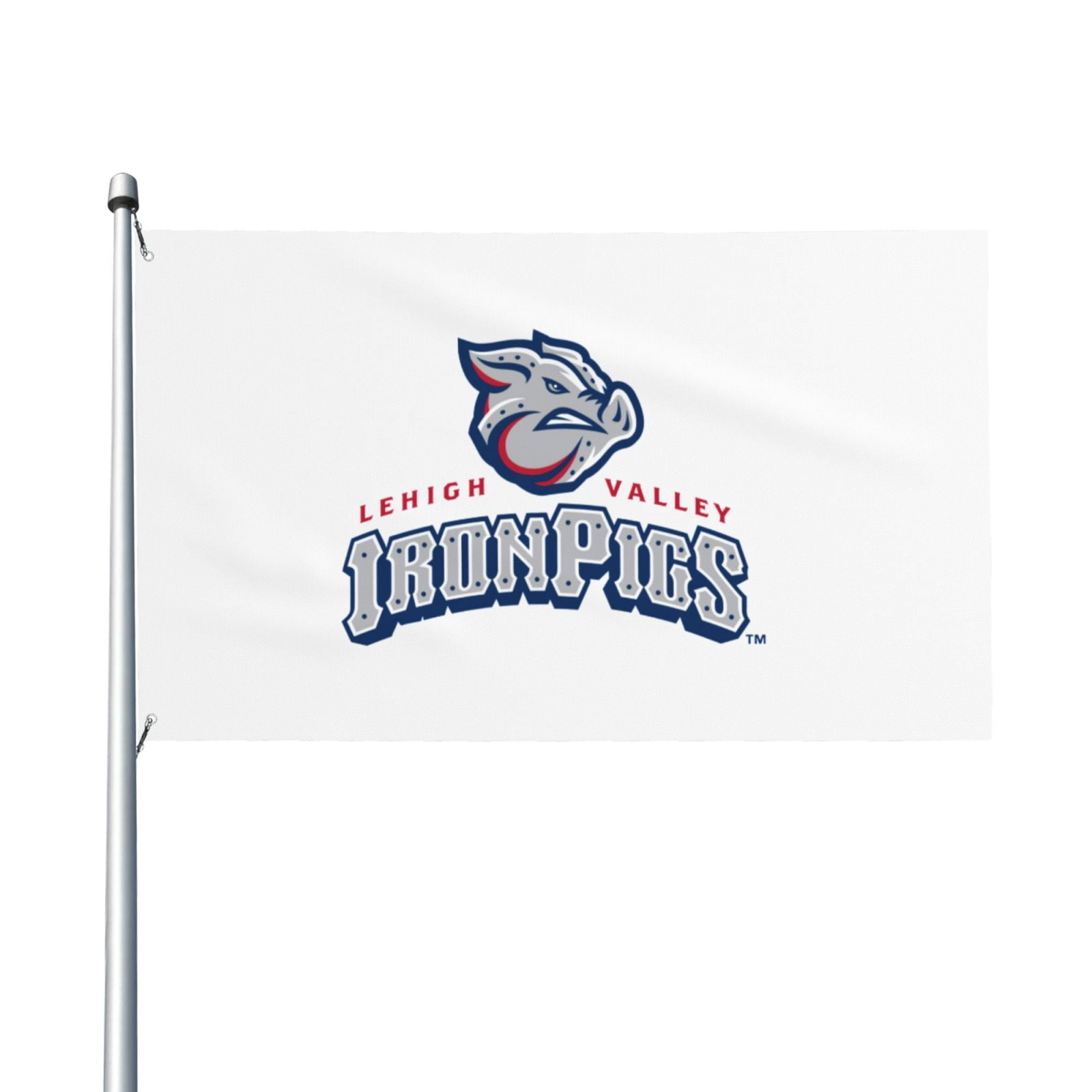 Lehigh Valley Ironpigs Flag 3x5 FT Outdoor - Heavy Duty Polyester with ...