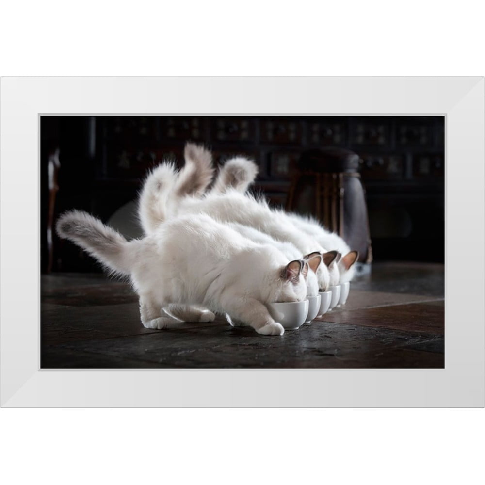 Lehto, Timo 18x13 White Modern Wood Framed Museum Art Print Titled ...